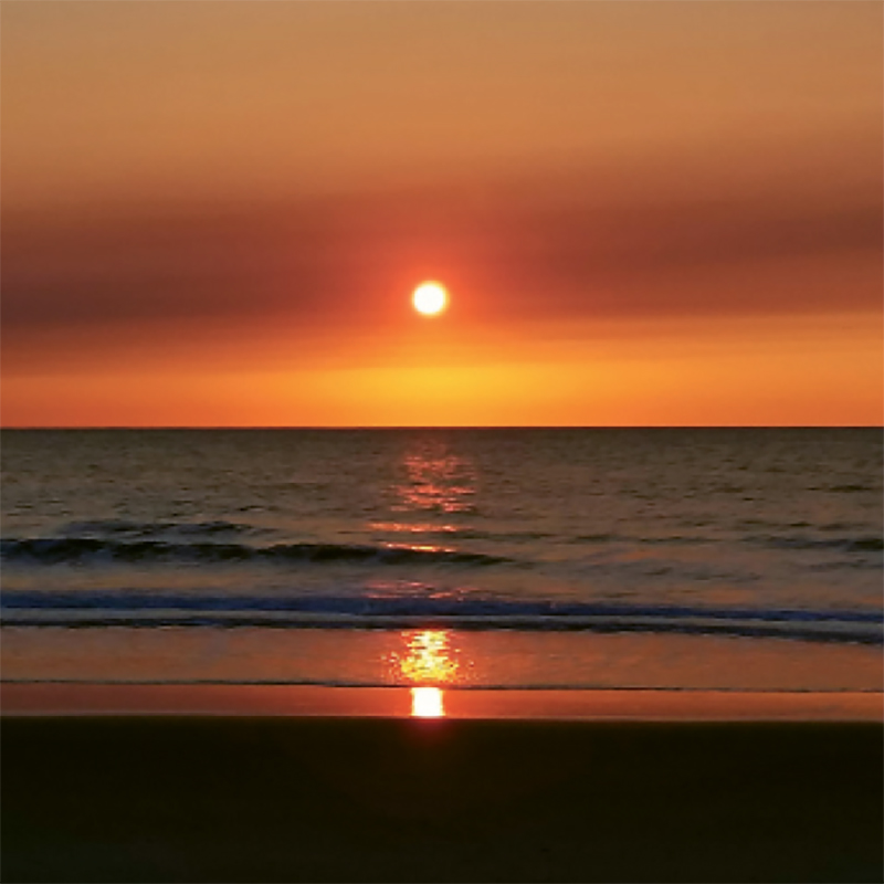 Images of the Grand Strand 2018 | Grand Strand Magazine