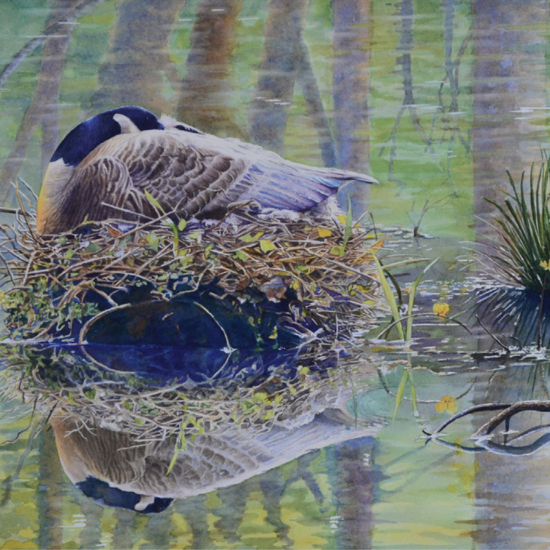 Catch the North Carolina Watercolor Society Traveling Show in Calabash ...