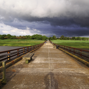 Bridge to Where? | Myrtle Beach, SC | Grand Strand Magazine