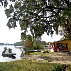 Island Life: Georgetown's Sandy Island | Myrtle Beach, SC | Grand ...